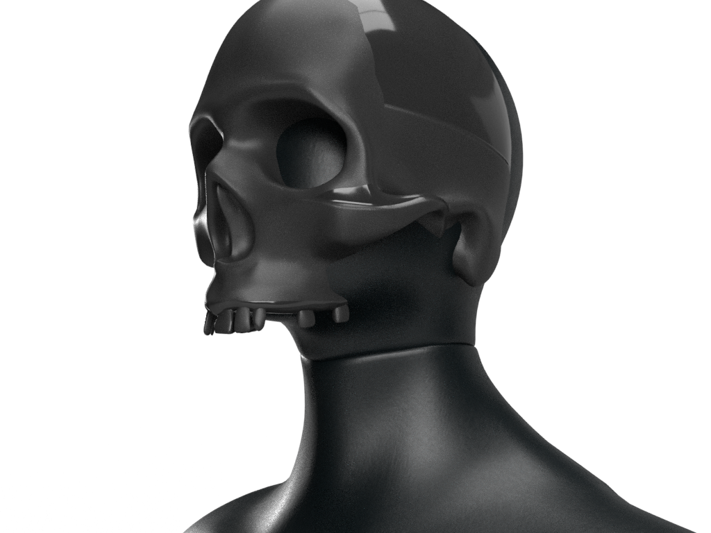 Limited Edition – Exhilo Studio